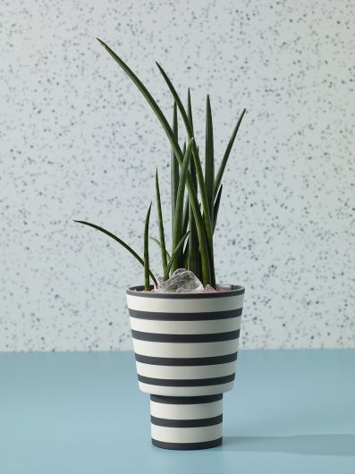 Maxine Ceramic Vase – SOUKi RATHMAN